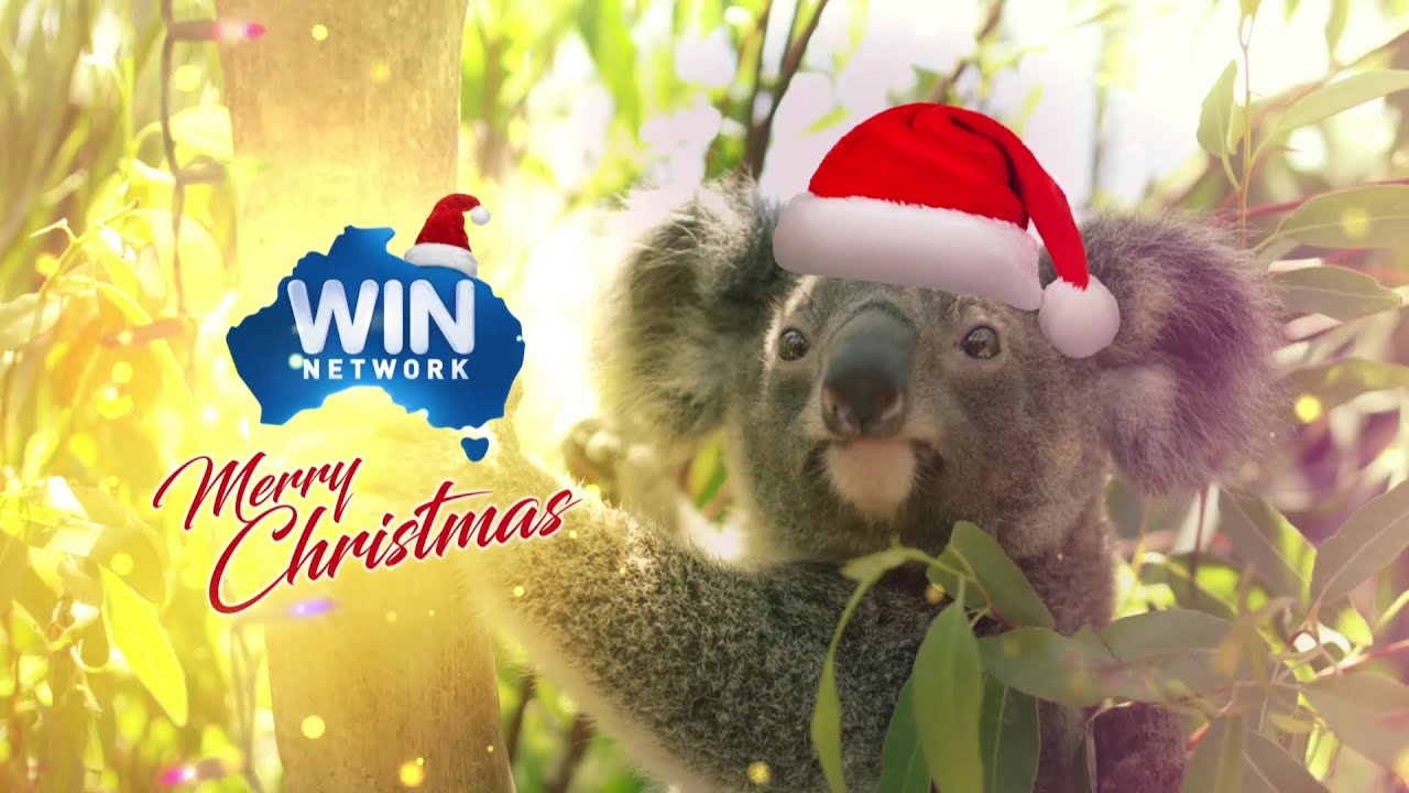 WIN Television - Koala Christmas Ident (December 2020) - YouTube