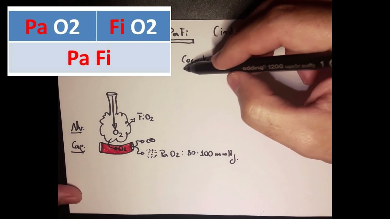 03. Píldoras Respiratorias: PaFi - YouTube