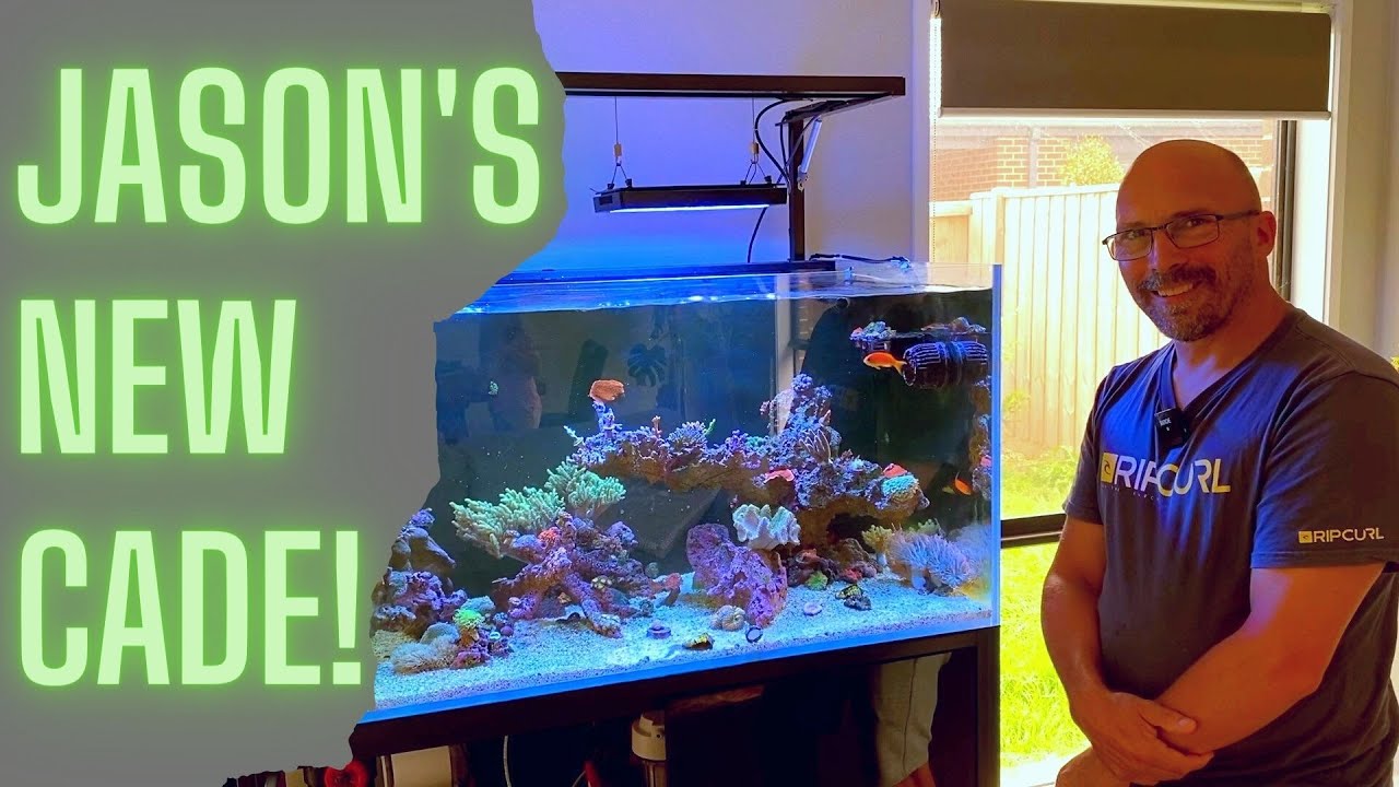 Jason's CADE 1200 - Tank Tour - YouTube