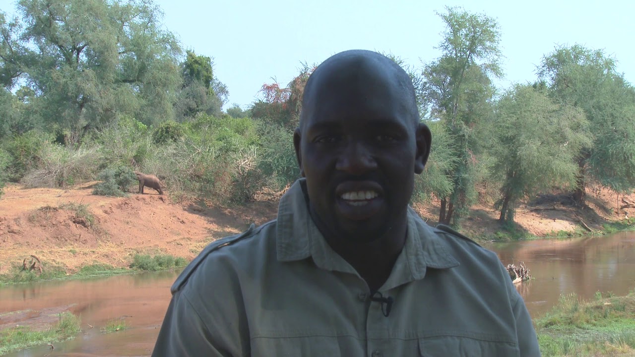 Return Africa - Pafuri Camp - YouTube