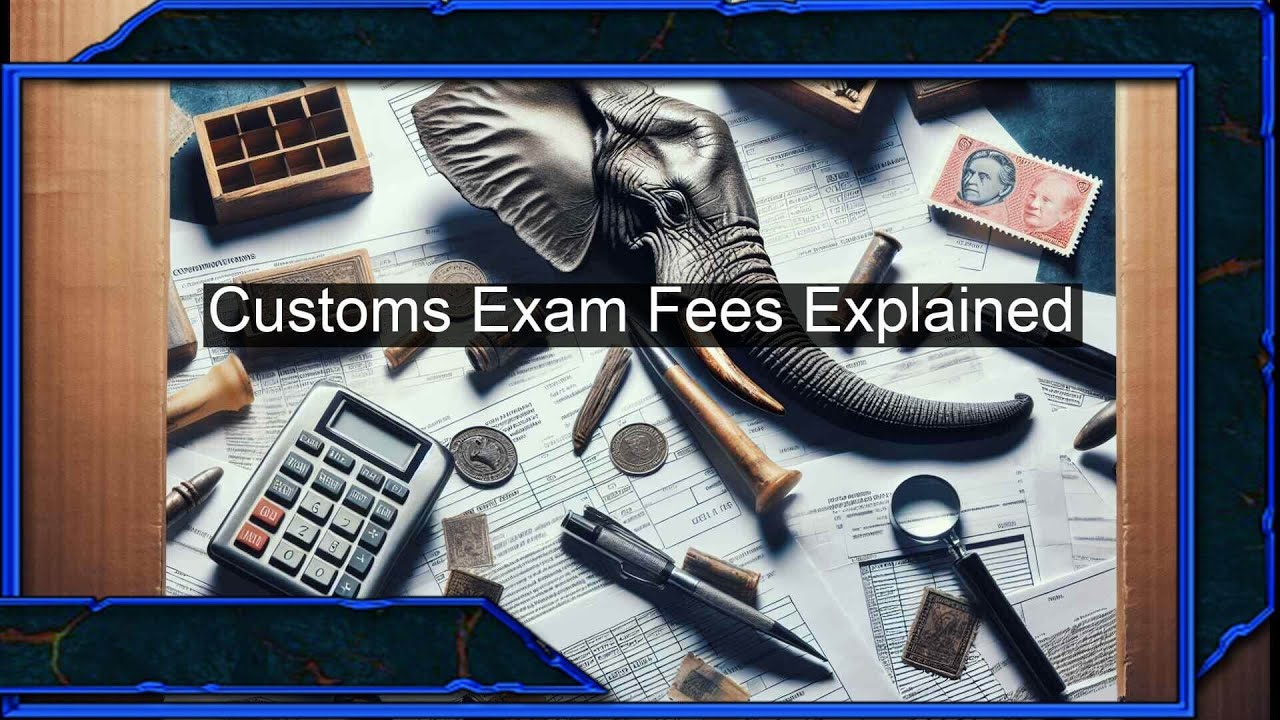 Demystifying Customs Exam Fees: Inquiring and Disputing for Importers ...