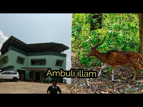 Ambuli illam | Topslip | Anamalai tiger reserve | forest stay in ...