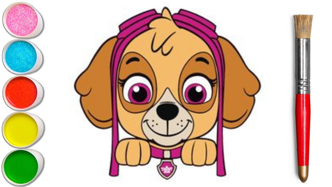Learn how to draw SKYE from PAW PATROL Colored with Magic Painting ...