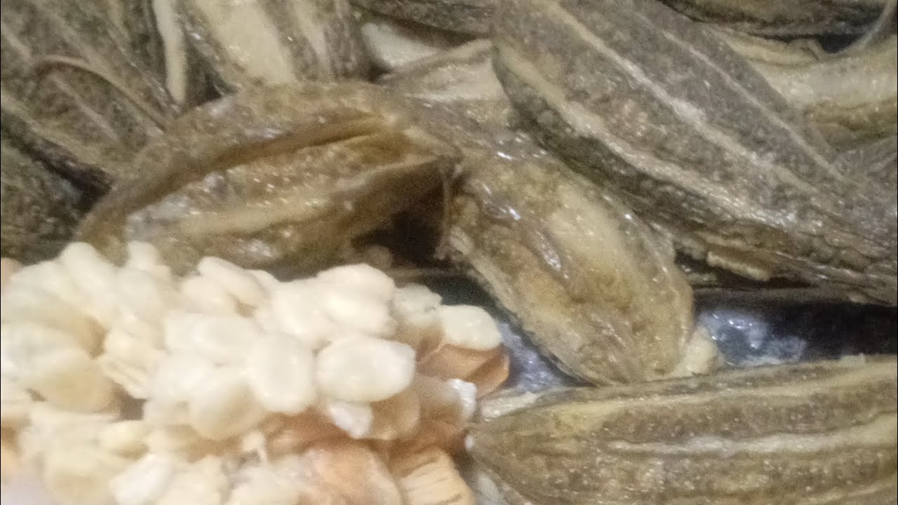 very tasty bhaura kerala #sita mata#ke rasoi - YouTube