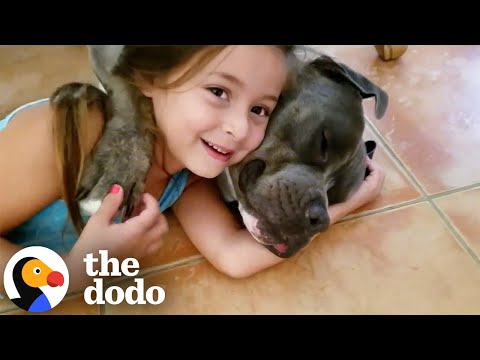 Watch This Little Girl Grow Up With Her Pittie | The Dodo