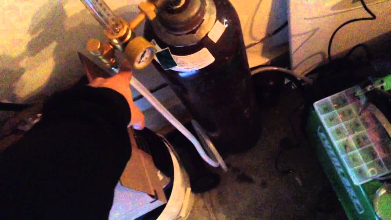 Everlast 250ex finally setup - YouTube