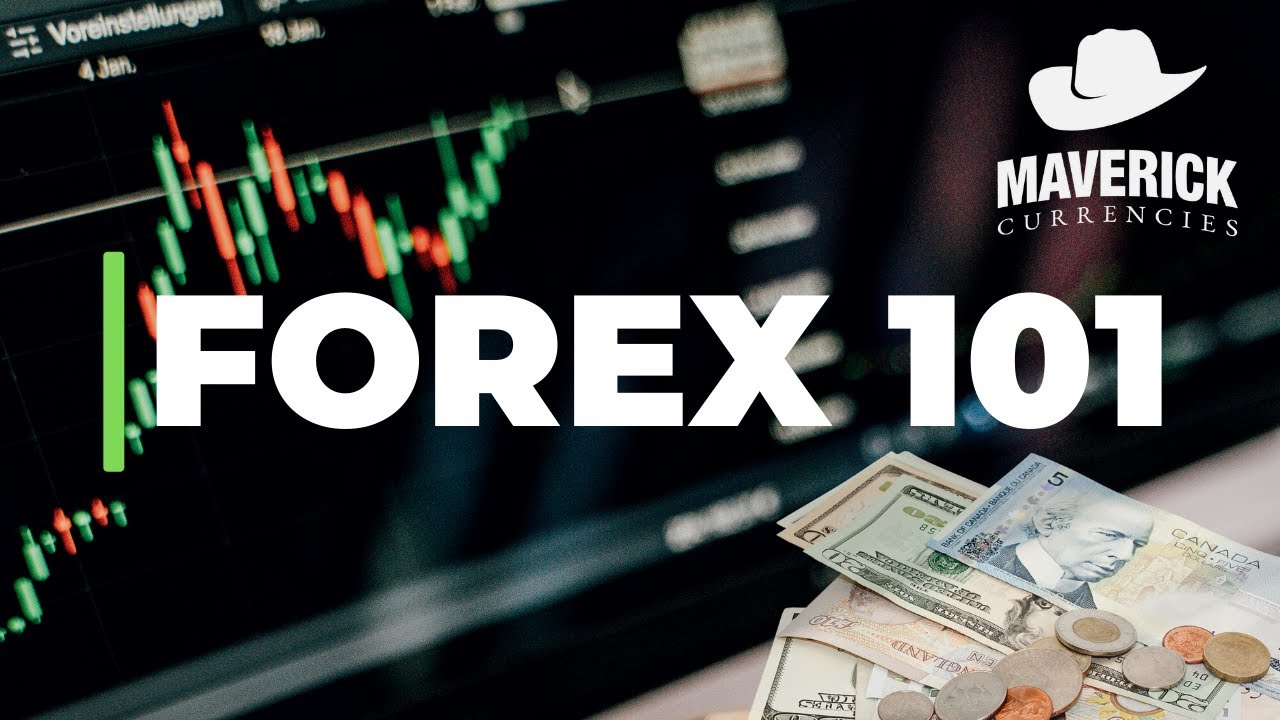 Forex Trading - Currency 101 - Terminology - YouTube