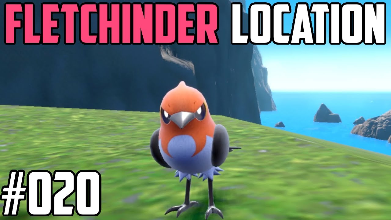 How to Catch Fletchinder - Pokemon Scarlet & Violet - YouTube