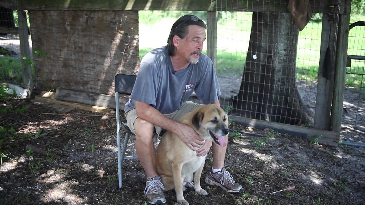 SABBATH DOG RESCUE - YouTube