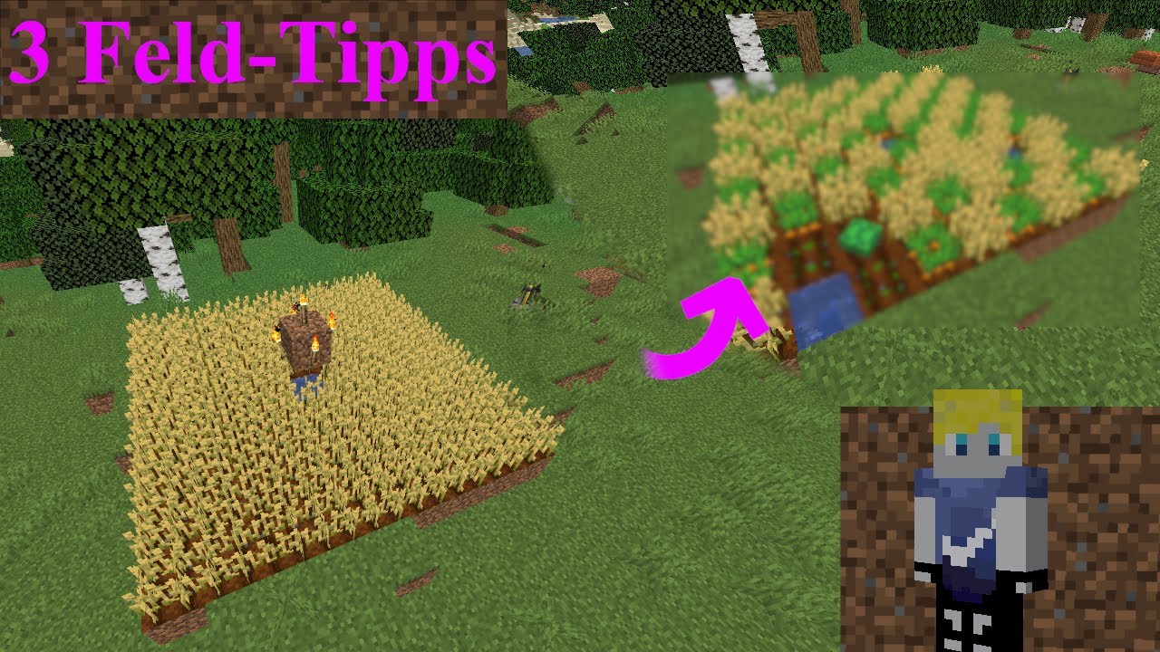 3 Tipps für dein Feld in Minecraft! - YouTube