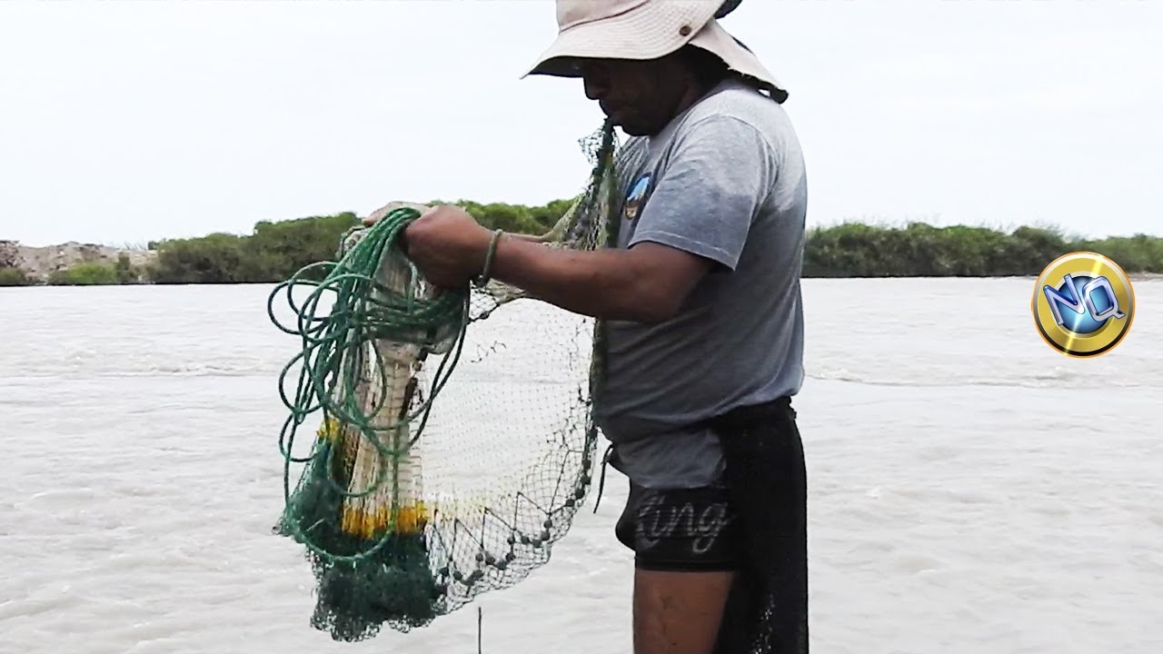 Como tirar la ATARRAYA - Cast net - YouTube