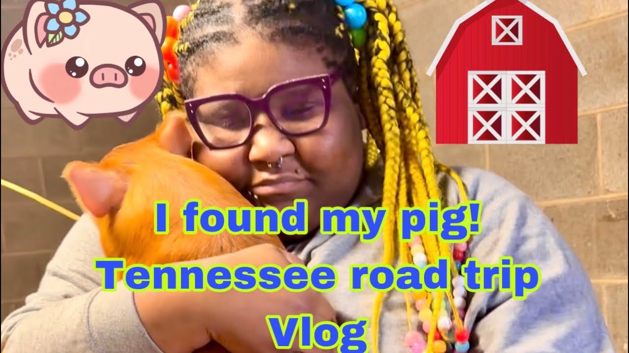 I found my pig! Tennessee road trip Vlog - YouTube