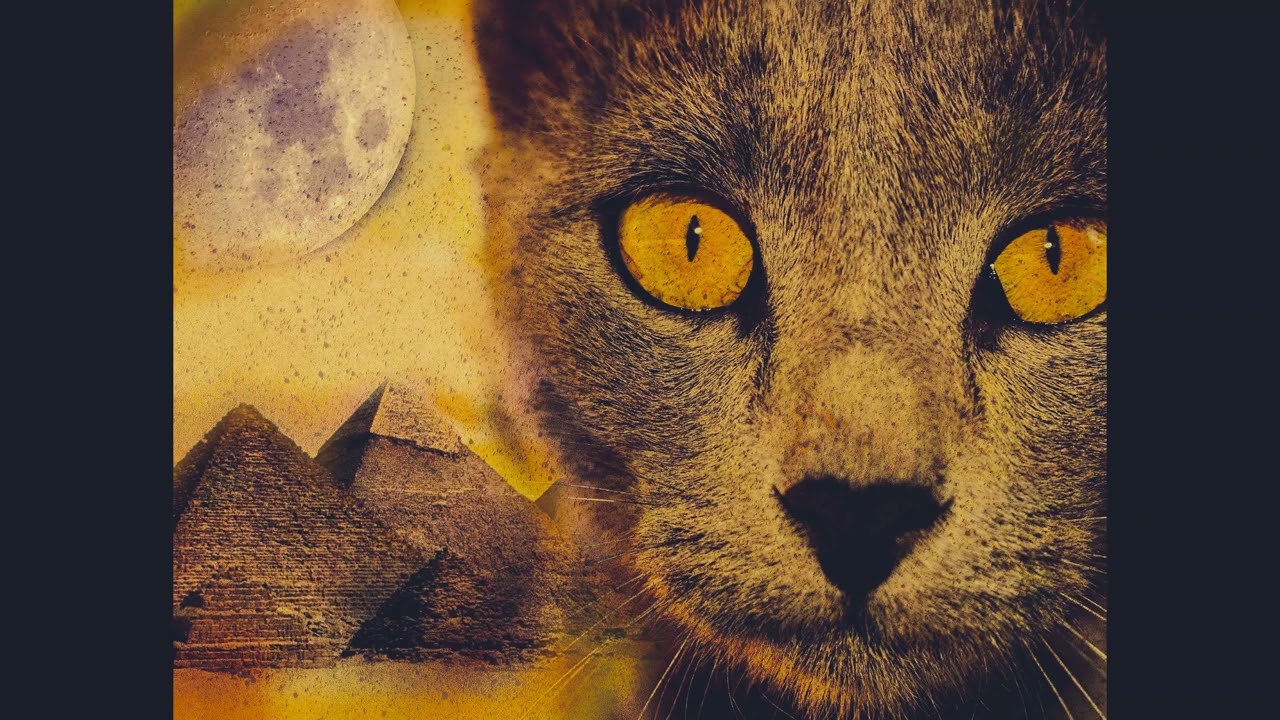 The Temple Cat - YouTube