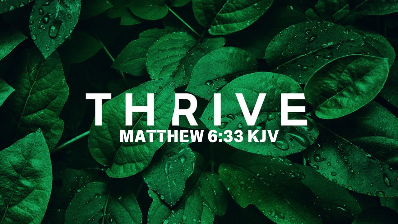 We Shall Thrive in 2025! I Bishop Brennetta C. Williams I Impact ...