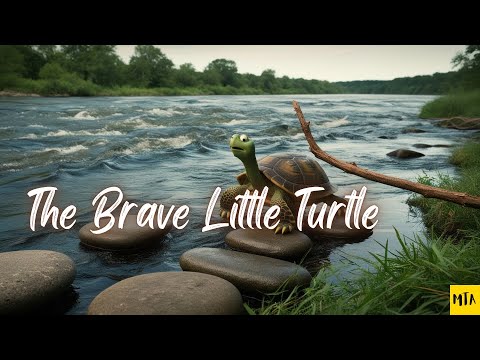 The Brave Little Turtle: An Inspiring Adventure for Kids! - YouTube
