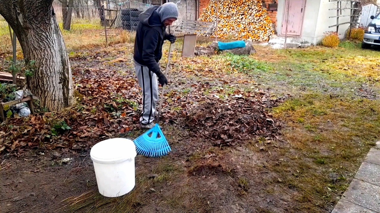 2 - Transformation - Front Yard Catastrophe Mess - Part 2 - YouTube