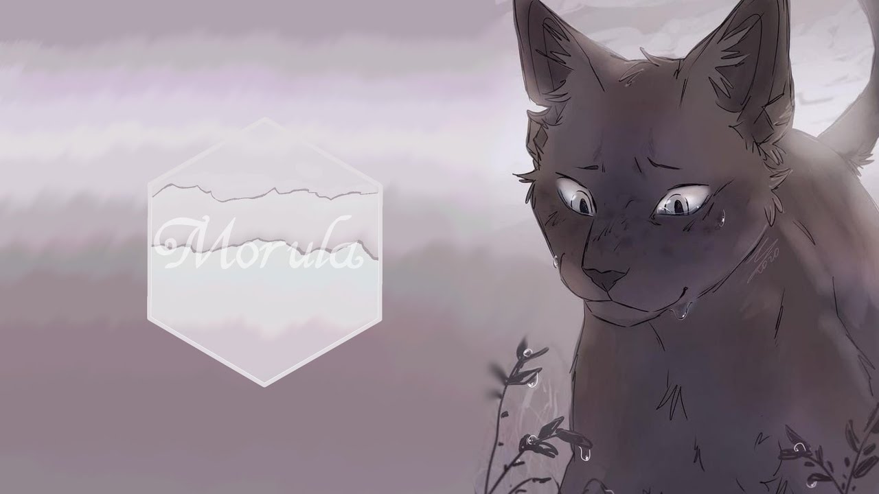 Пепелица «Могила Коты Воители Youtube