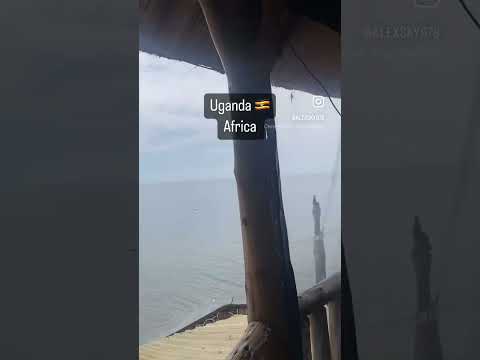 Morning cappuccino in the treehouse on White sand beach/Uganda # ...