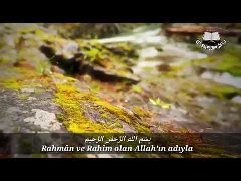 Ebu hacer ( insan suresi ) HD!