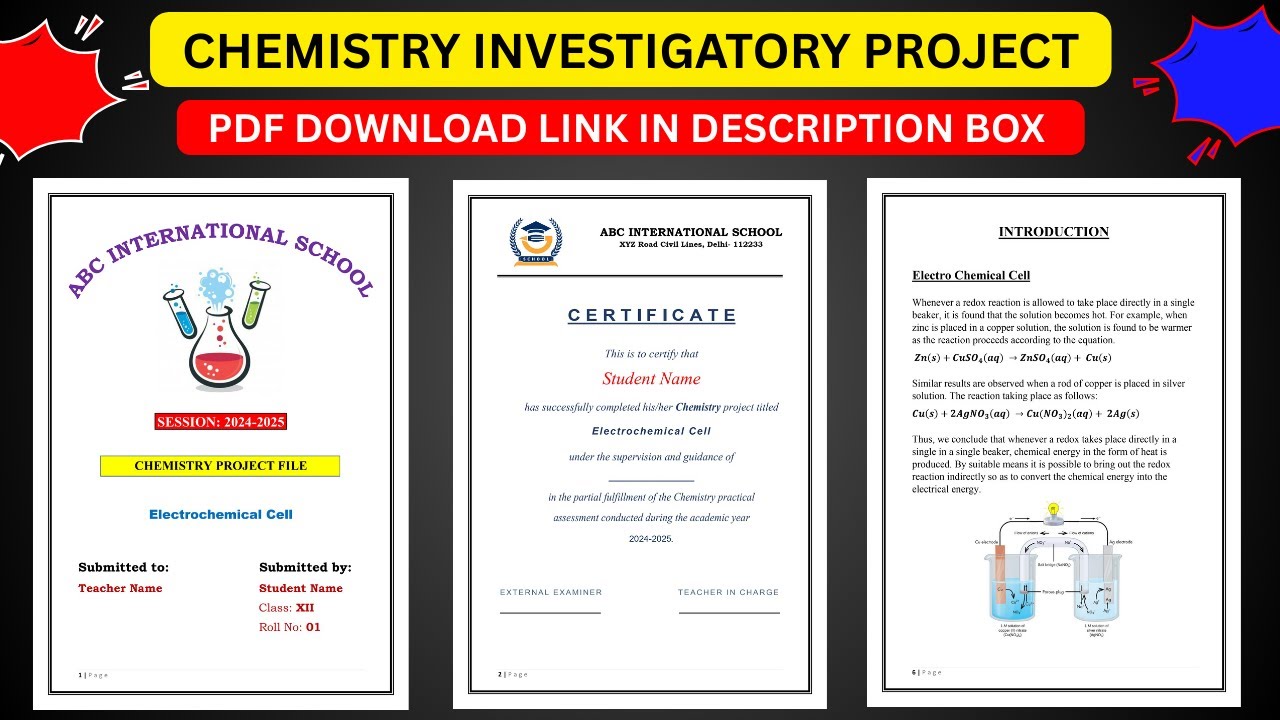 Chemistry Investigatory Project Class 12 | Electrochemical Cell ...