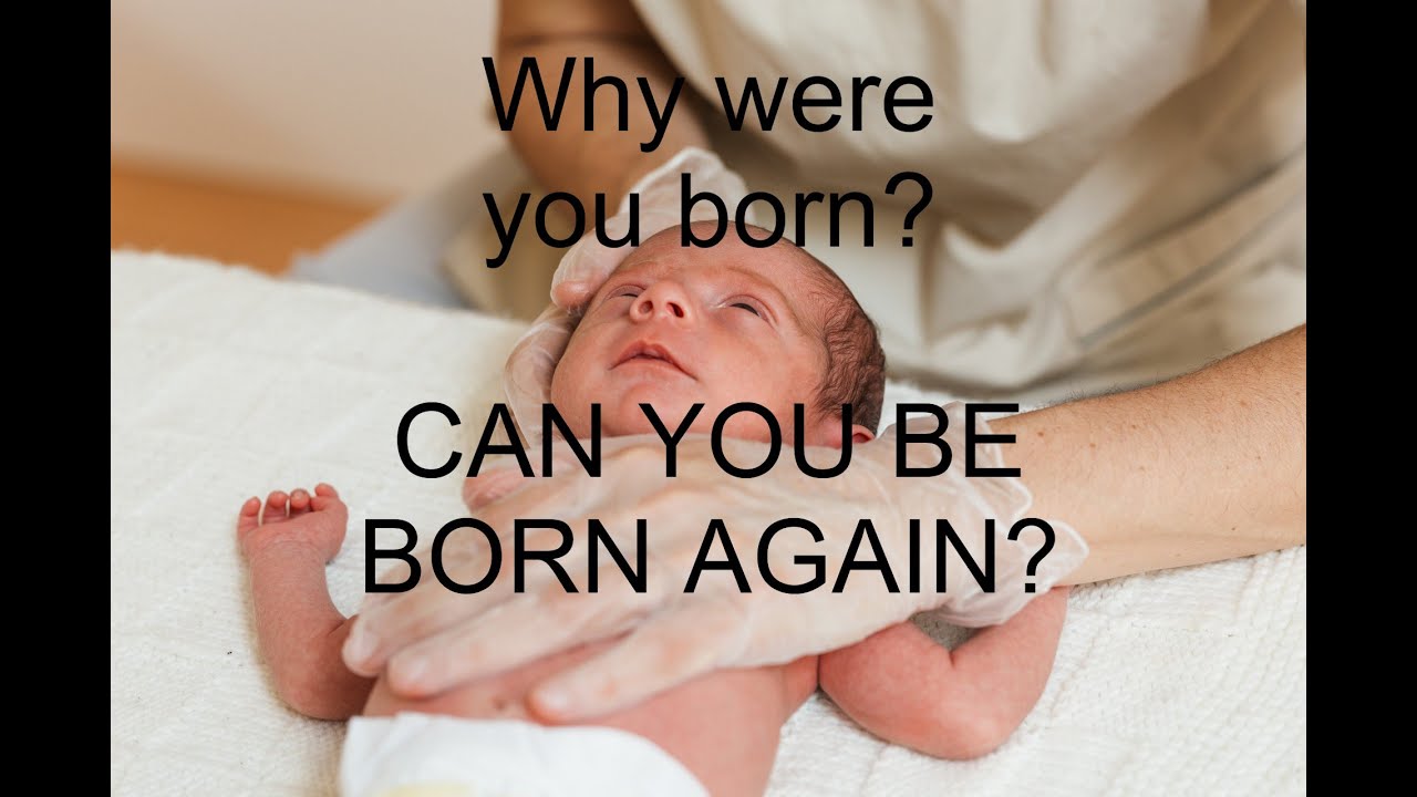 OC125 Why were you born? Can you be born again? - YouTube
