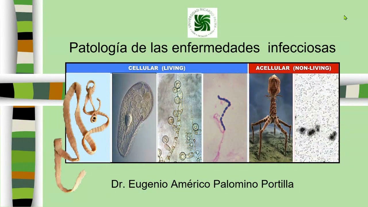 Patología General - Patología de las Enfermedades Infecciosas y ...
