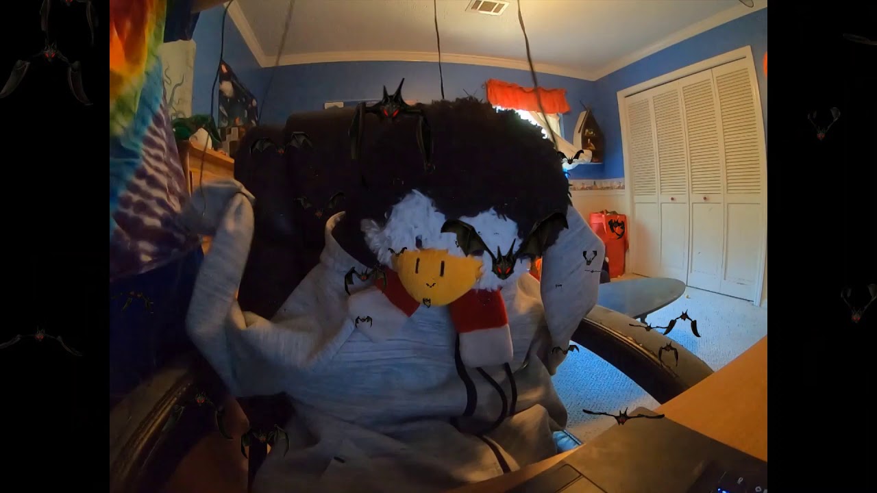 zoom meeting gone wrong. - YouTube