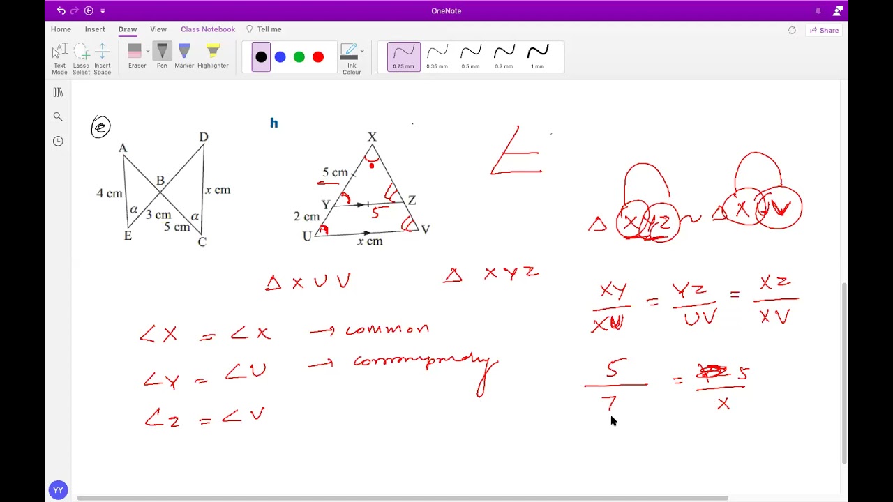 Similarity :IGCSE, Extended and International Math - YouTube