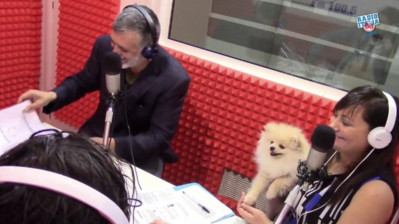 RADIO ITALIA (anni 60) - BRUNO RUGGIERO, PH.D. - INTERVIEW 30/03/2019 ...