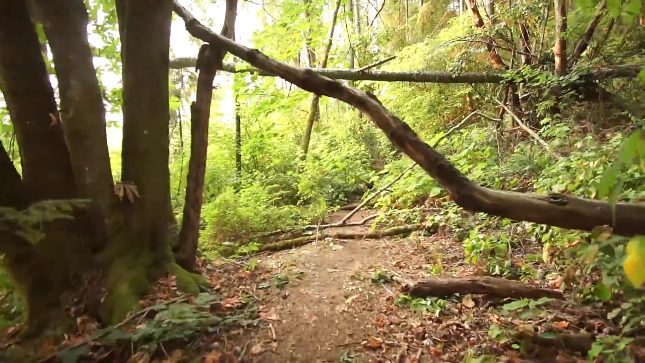 Walking along Chambers Creek Canyon Trail - YouTube