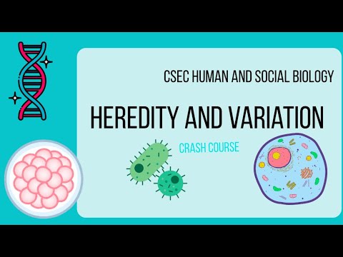 HEREDITY AND VARIATION- CSEC HUMAN AND SOCIAL BIOLOGY CRASH COURSE ...