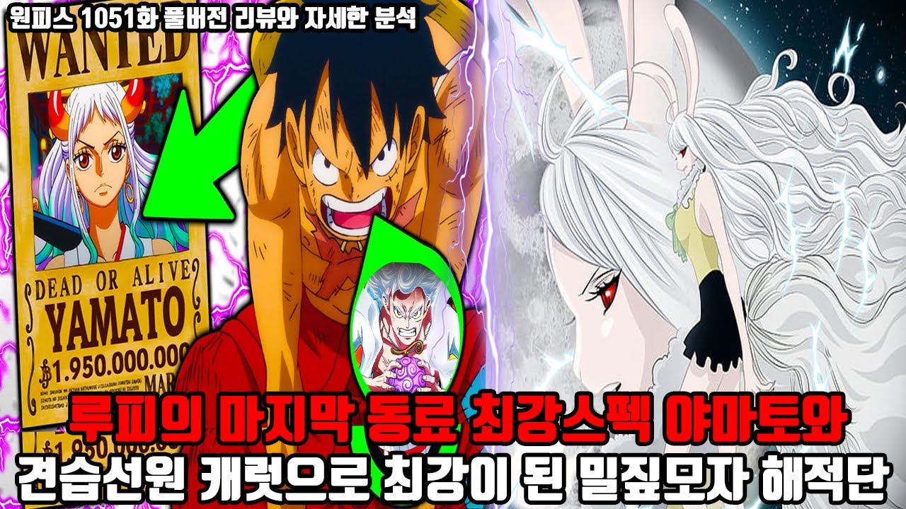 원피스 1051화 풀버전 리뷰와 자세한분석 밀짚모자 해적단 루피의 마지막 동료 최강스펙 야마토와 견습선원 캐럿으로 최강의