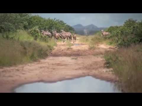 Botswana Central Kalahari Tau to Ghanzi - YouTube