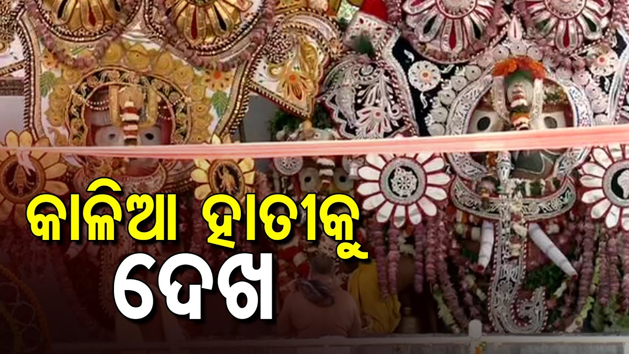 Puri Snana Yatra- Hati Besha (Elephant Attire) Of Holy Trinity Underway ...