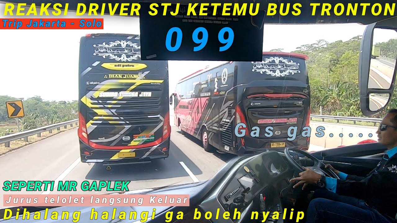 Bus STJ ini Luar Biasa !! Rame Saat TO STJ RUBYA - YouTube