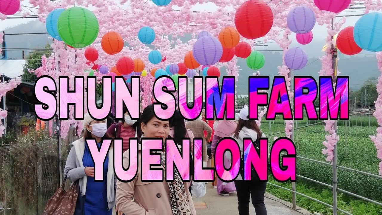 SHUN SUM YUEN FARM IN YUENLONG PART 2 - YouTube