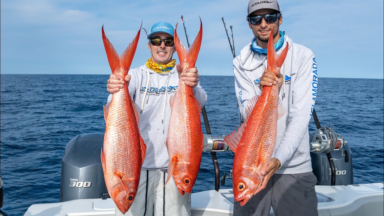 *GORGEOUS* Snapper - Jamaican Style Fish Head - Catch Clean Cook - YouTube