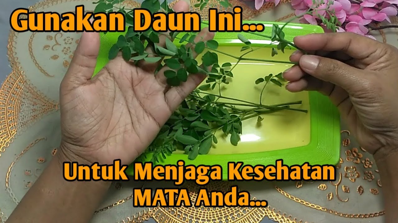 INGIN MATA SELALU SEHAT, INI RAHASIANYA || manfaat daun kelor untuk ...