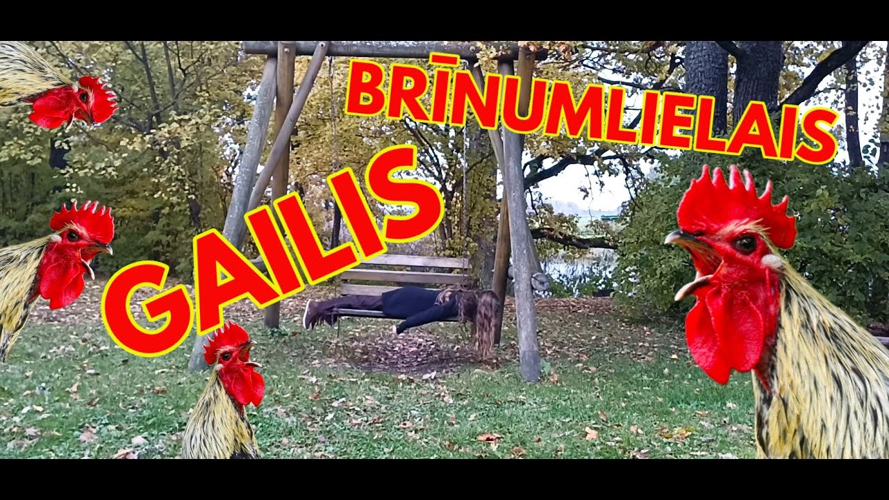 Pasaka - BRĪNUMLIELAIS GAILIS - YouTube