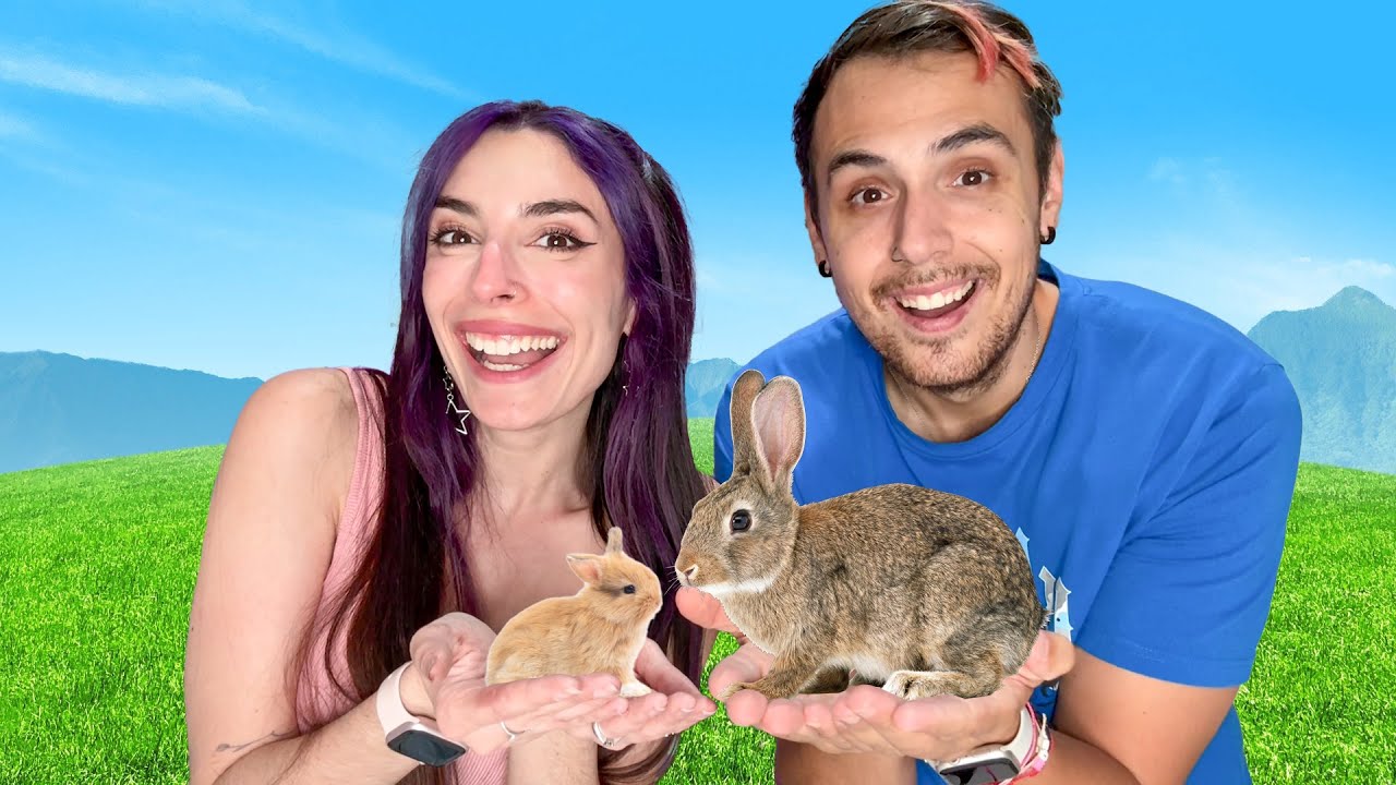 AHORA SOMOS PAPÁS DE UN CONEJO Y SUS BEBÉS ?! - YouTube