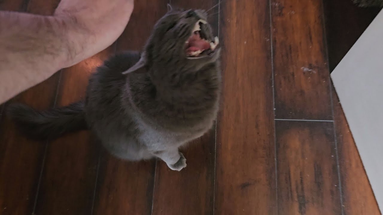 ok captain planet whatever you say - YouTube