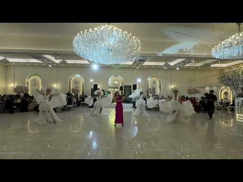 Bana Ellerini Ver – Violin and dance performance – Türk düğünü – Keman ve dans performansı