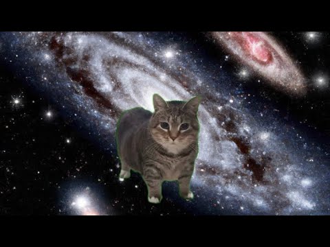 Olla Olla Cat In Space - YouTube