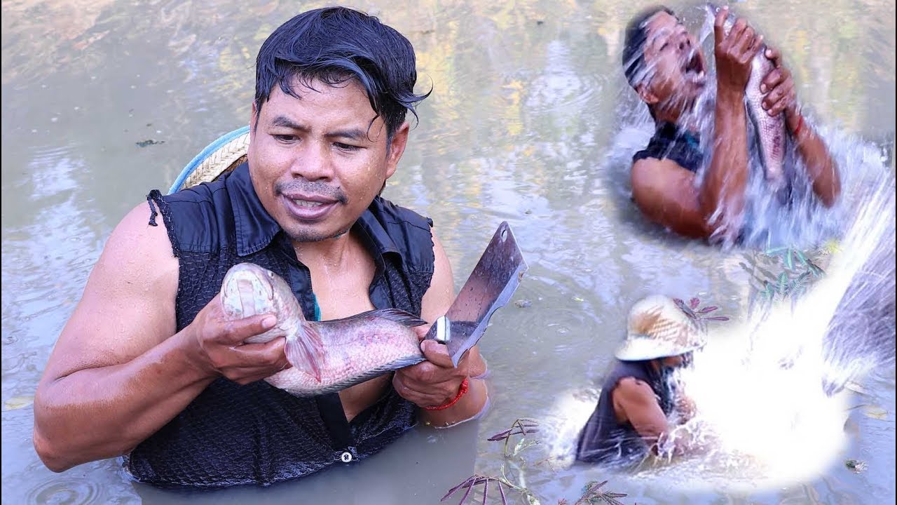 Technology Skills Food - Catch fish in the forest and cooking fish big ...