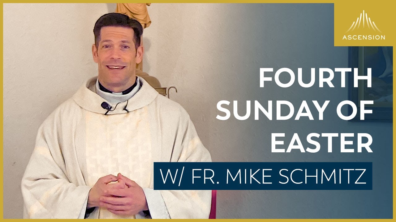 Fourth Sunday of Easter - Mass with Fr. Mike Schmitz - YouTube