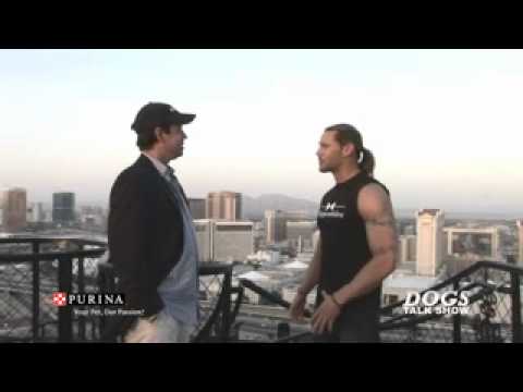 Purina's "Dogs Talk Show" Interviews Jace Crispin of Chippendales ...