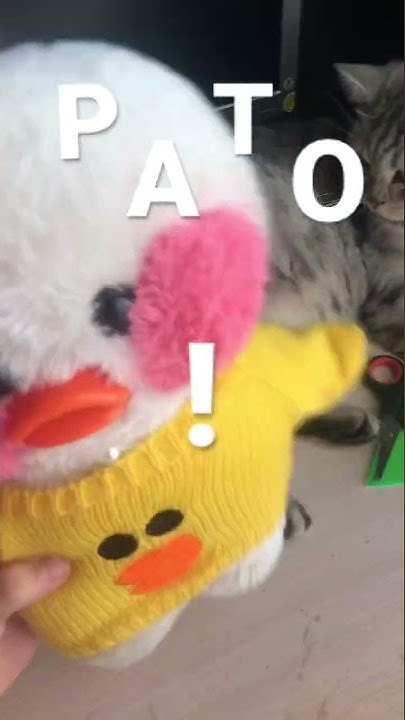 РАТО! - YouTube
