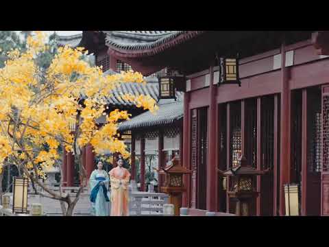 Phượng Mưu Hoàng Kế 33