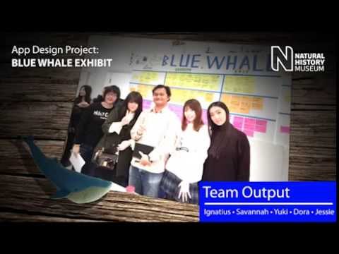 Blue Whale Team Output - YouTube