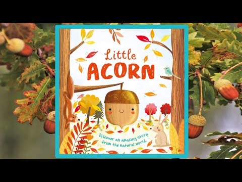 🌰 Little Acorn Read Aloud Kid's Book - YouTube